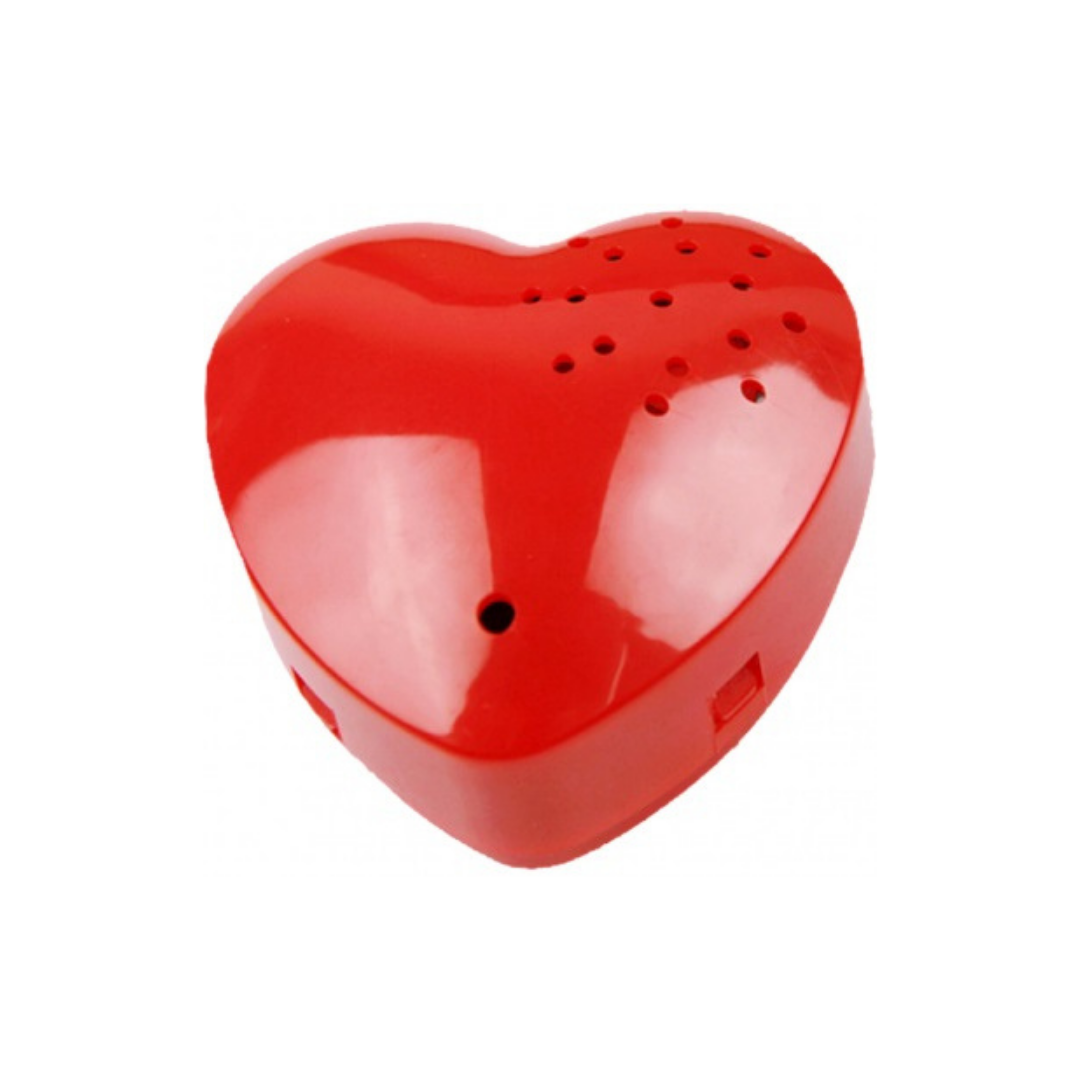 Voice Recorder - Heart – BlankYou